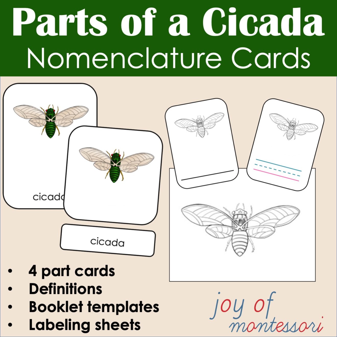 Cicada Nomenclature Cards • Joy of Montessori