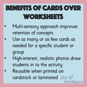Singular and Plural Nouns Activity • Joy of Montessori