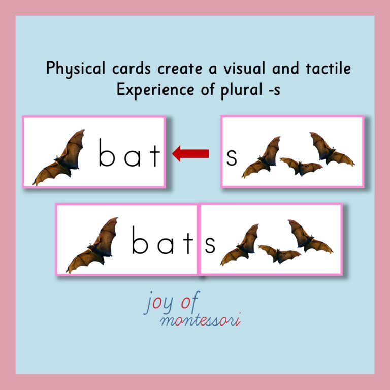 Singular and Plural Nouns Activity • Joy of Montessori